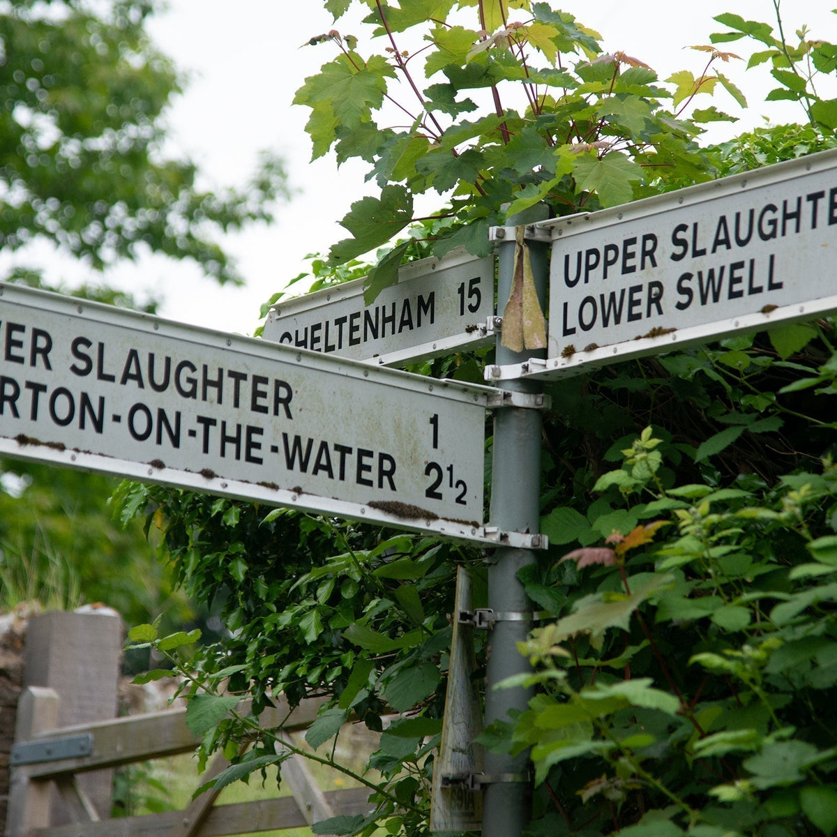 How We Connected a Veterinary Practice in Stow-on-the-Wold with Bridge ...